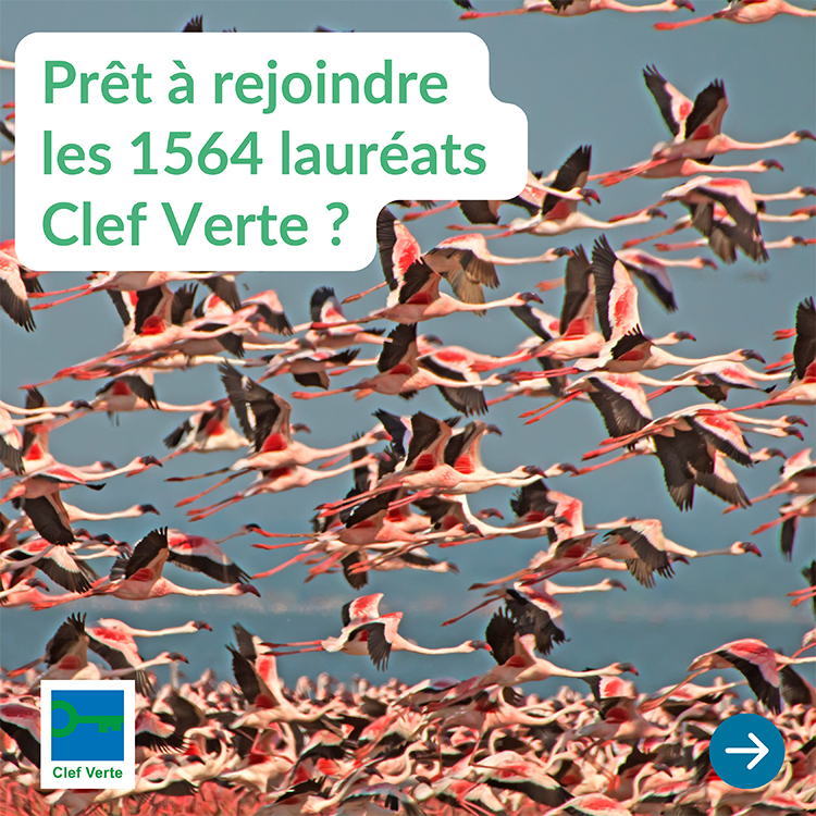 Tourisme durable : 5 raisons de partir en quête de la Clef Verte | CCI ... Tourisme durable : 5 raisons de partir en quête de la Clef Verte | CCI ...